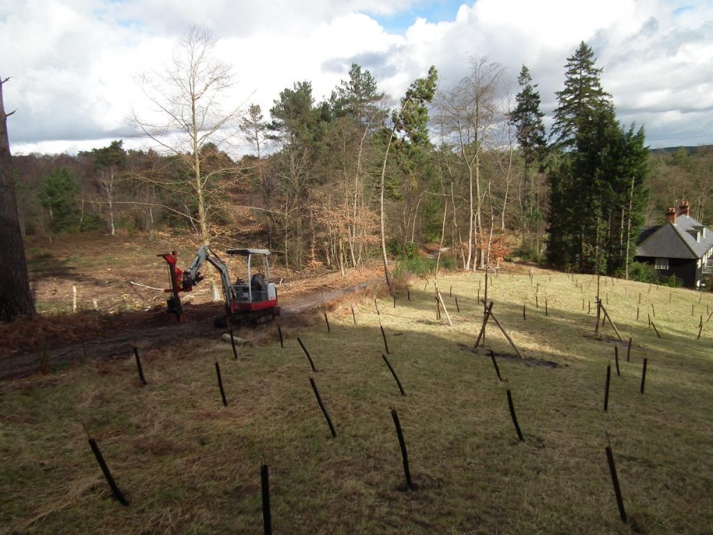 Rural Estate Management | Surrey Hills Conservation